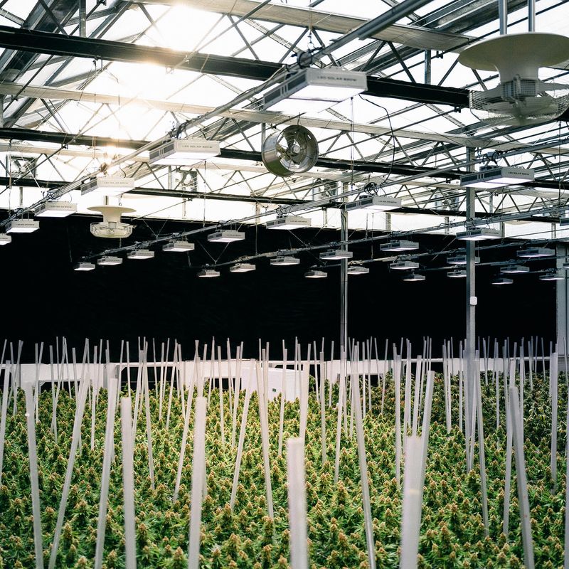 Karoo Bioscience Facility